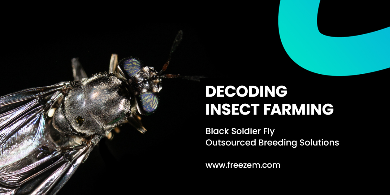 Accelerate Insect Farming with Breeding-as-a-Service