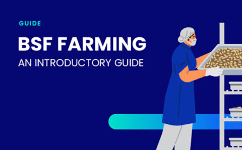 Articles, Videos, News and Events | FreezeM