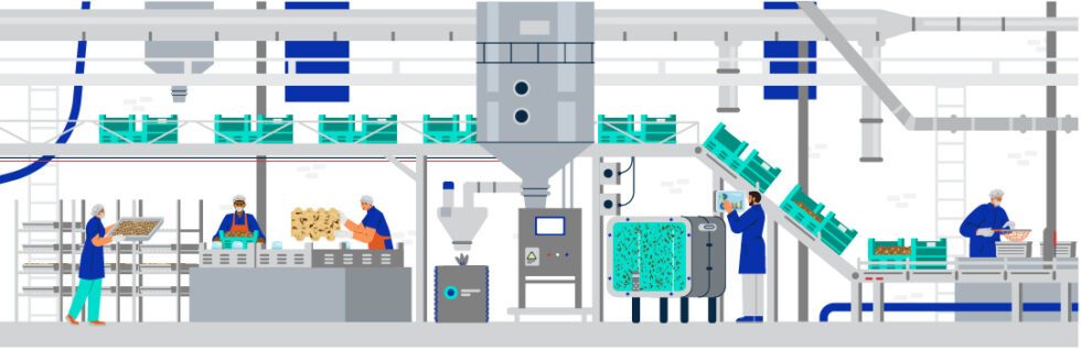An Introductory Guide to Black Soldier Fly Farming | FreezeM